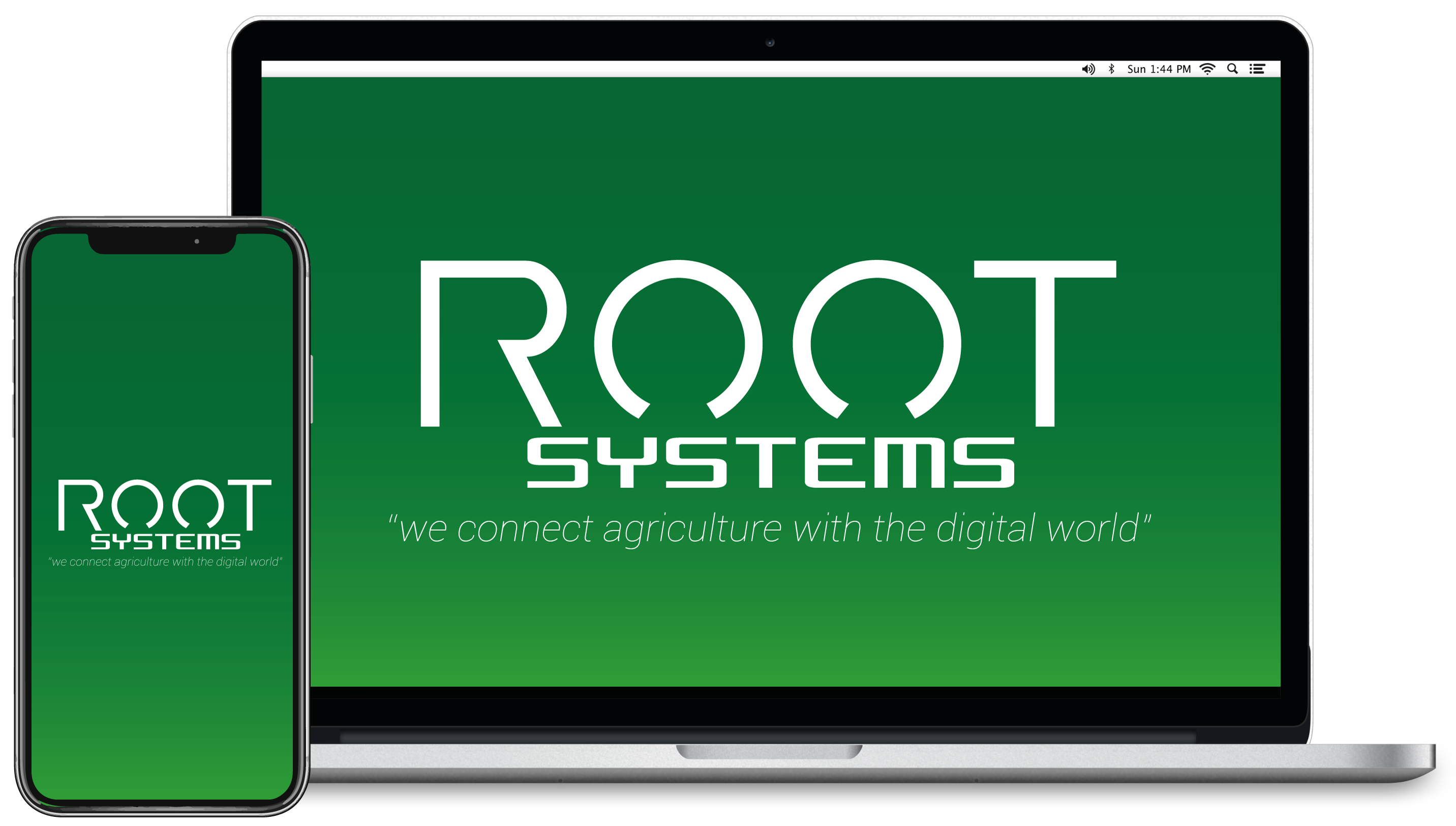 RootSystems